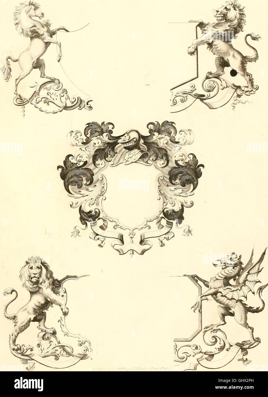 Family shields illustrations heraldry hi-res stock photography and ...