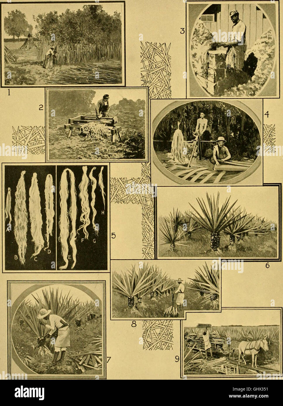 This book covers the history of the textile industry in the United ...