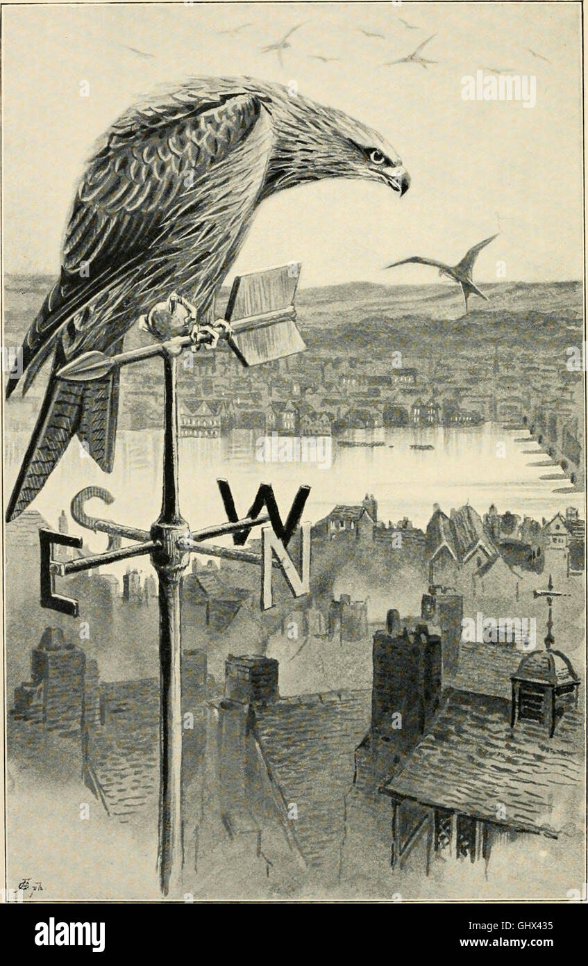 'Lost and Vanishing Birds' (1898) documents bird species that have ...