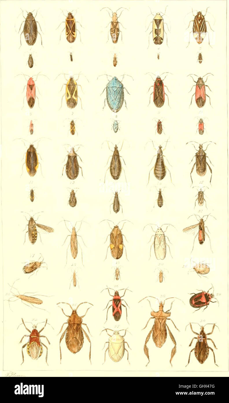 'Manuscript Notes from My Journal' (1876) contains detailed ...