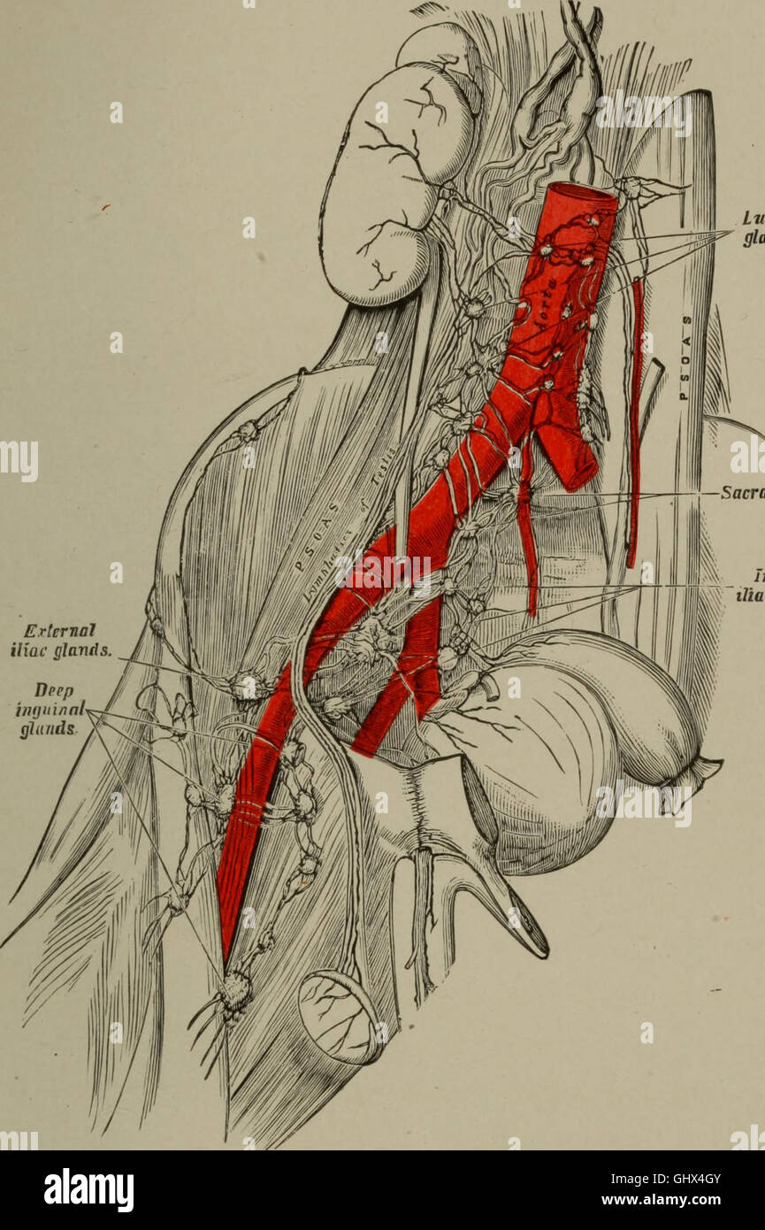 *Mechanical Vibratory Stimulation* (1903) presents a theory and ...