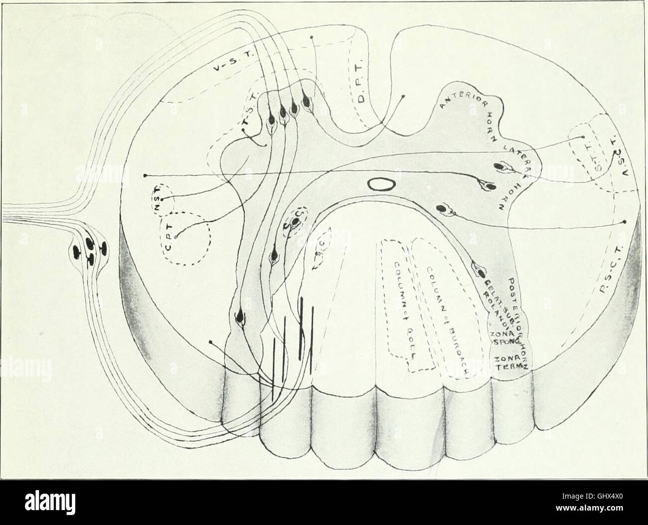 This 1913 atlas provides detailed charts and analysis for the ...