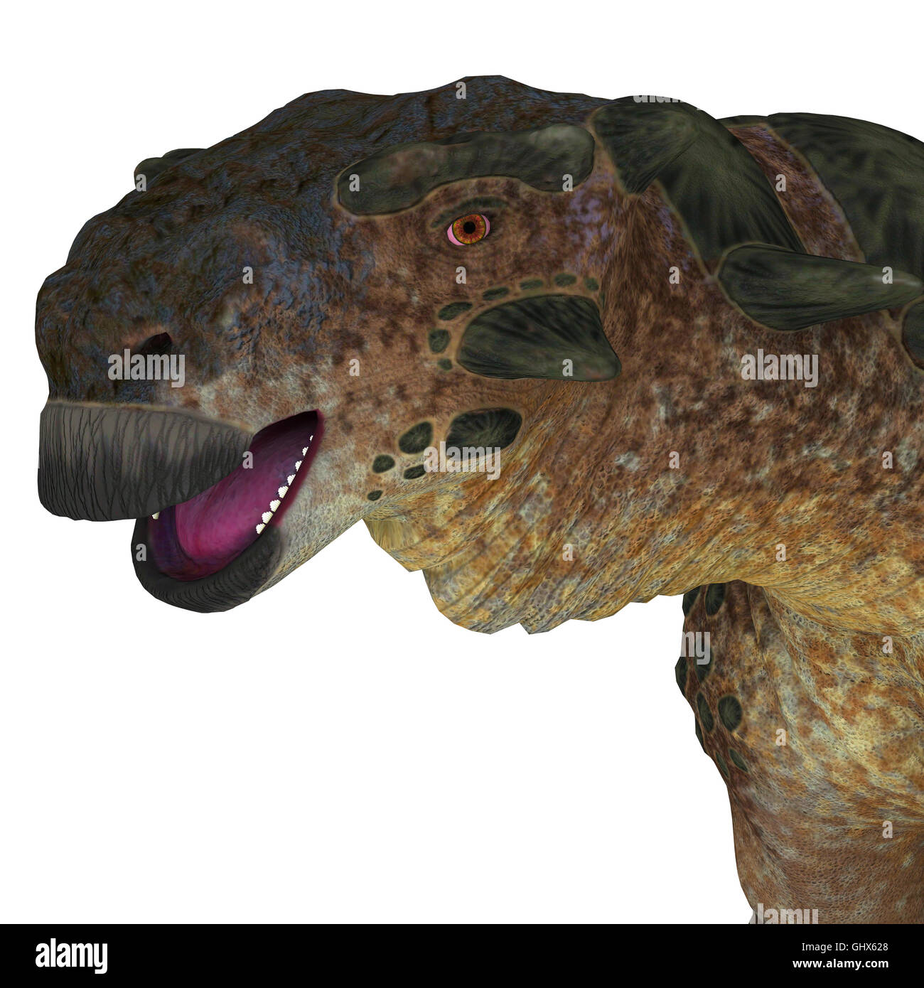 Pinacosaurus was a herbivorous ankylosaurus that lived in the ...