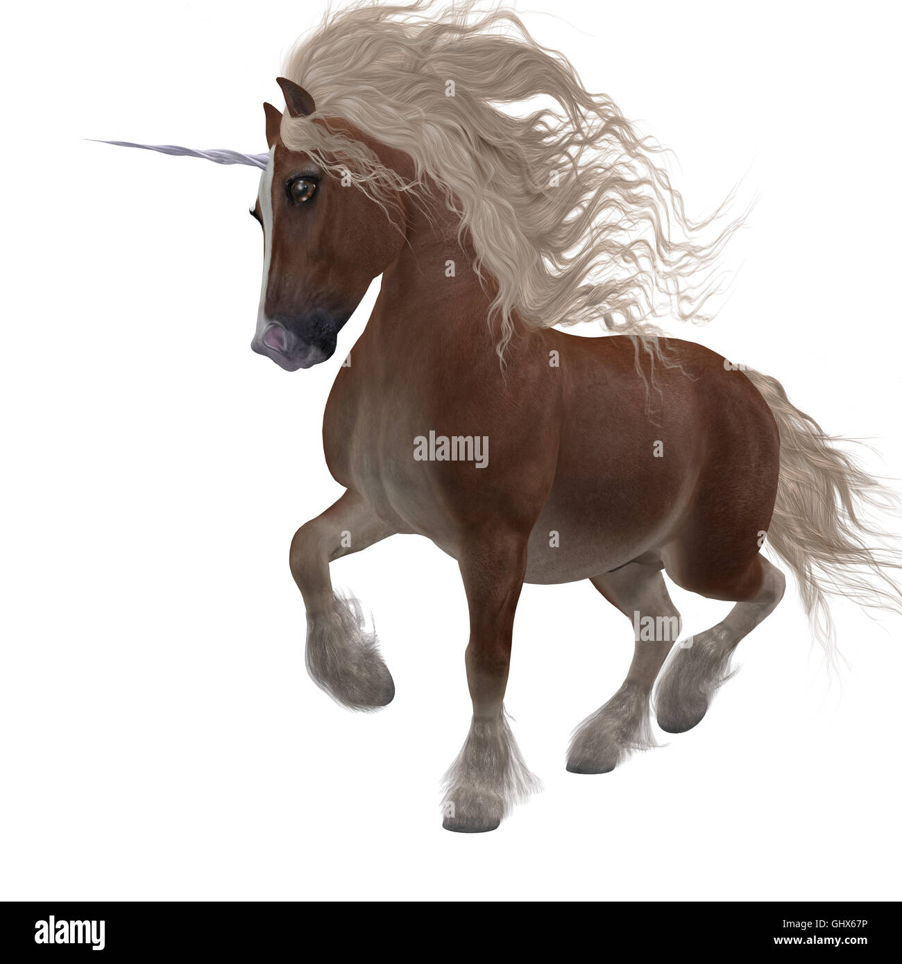 Shetland pony cross High Resolution Stock Photography and Images - Alamy