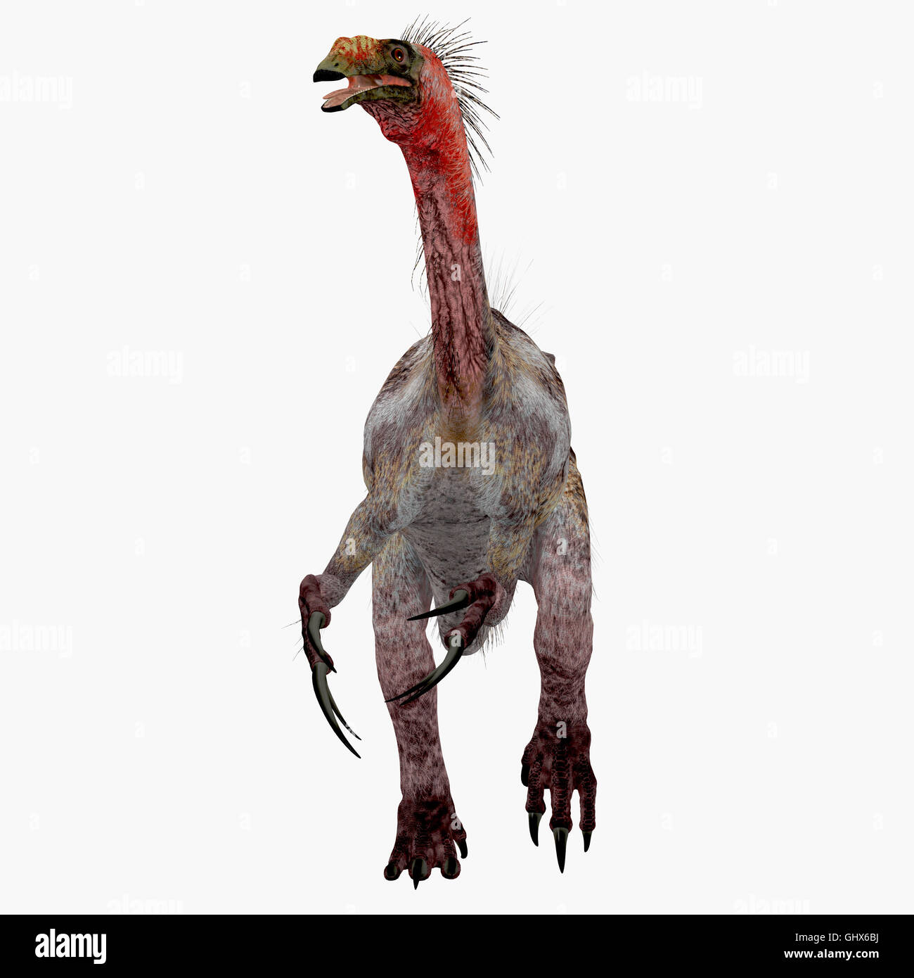 Therizinosaurus High Resolution Stock Photography and Images - Alamy