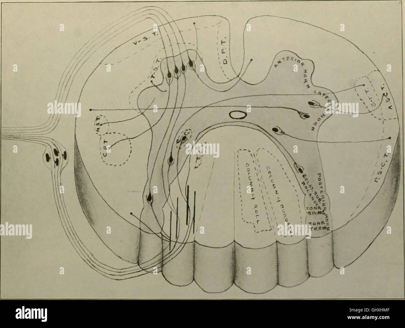 This 1914 atlas provides detailed charts for the differential diagnosis ...