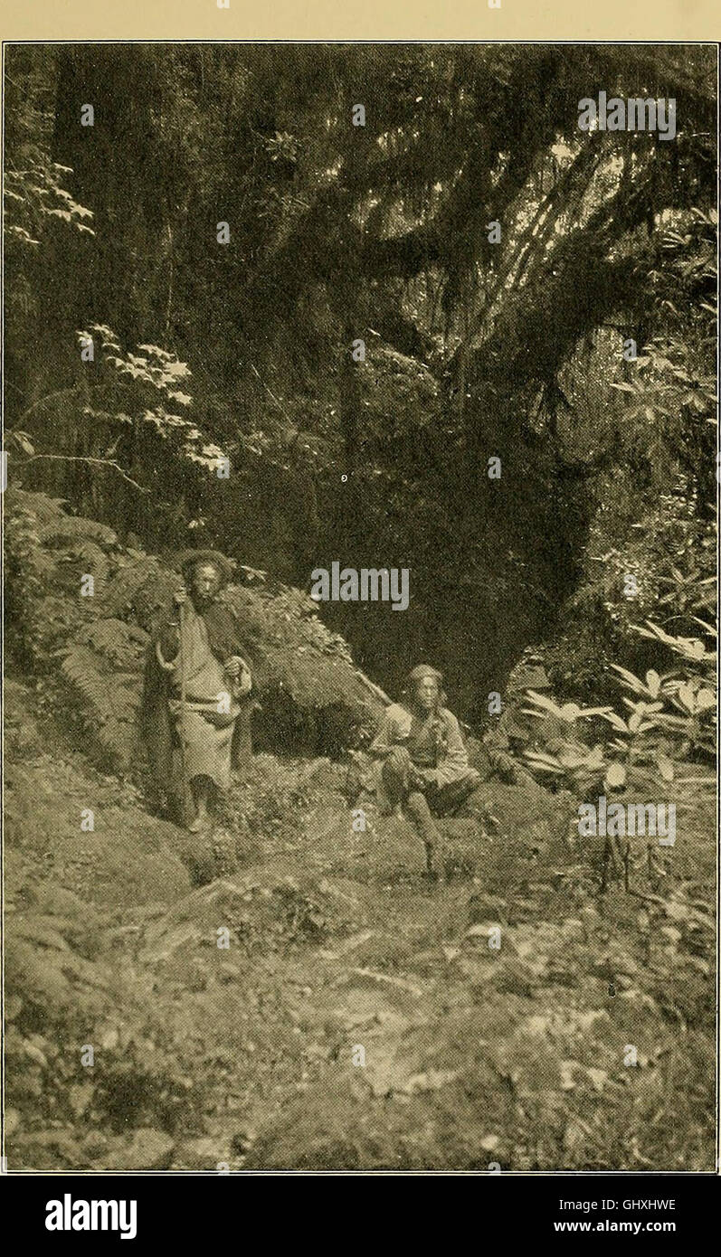 The 1921 reconnaissance expedition to Mount Everest, which was led by ...