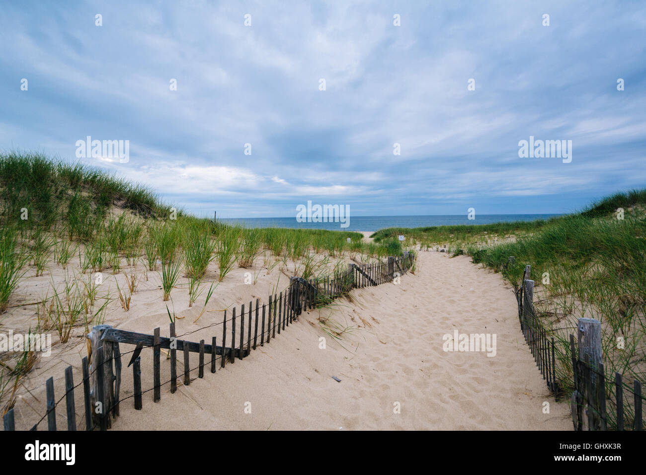 Fence and path through sand dunes at Race Point, in the Province Lands ...