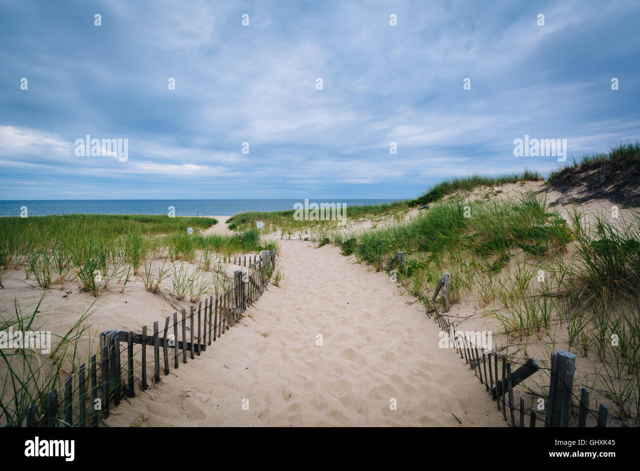 Fence and path through sand dunes at Race Point, in the Province Lands ...