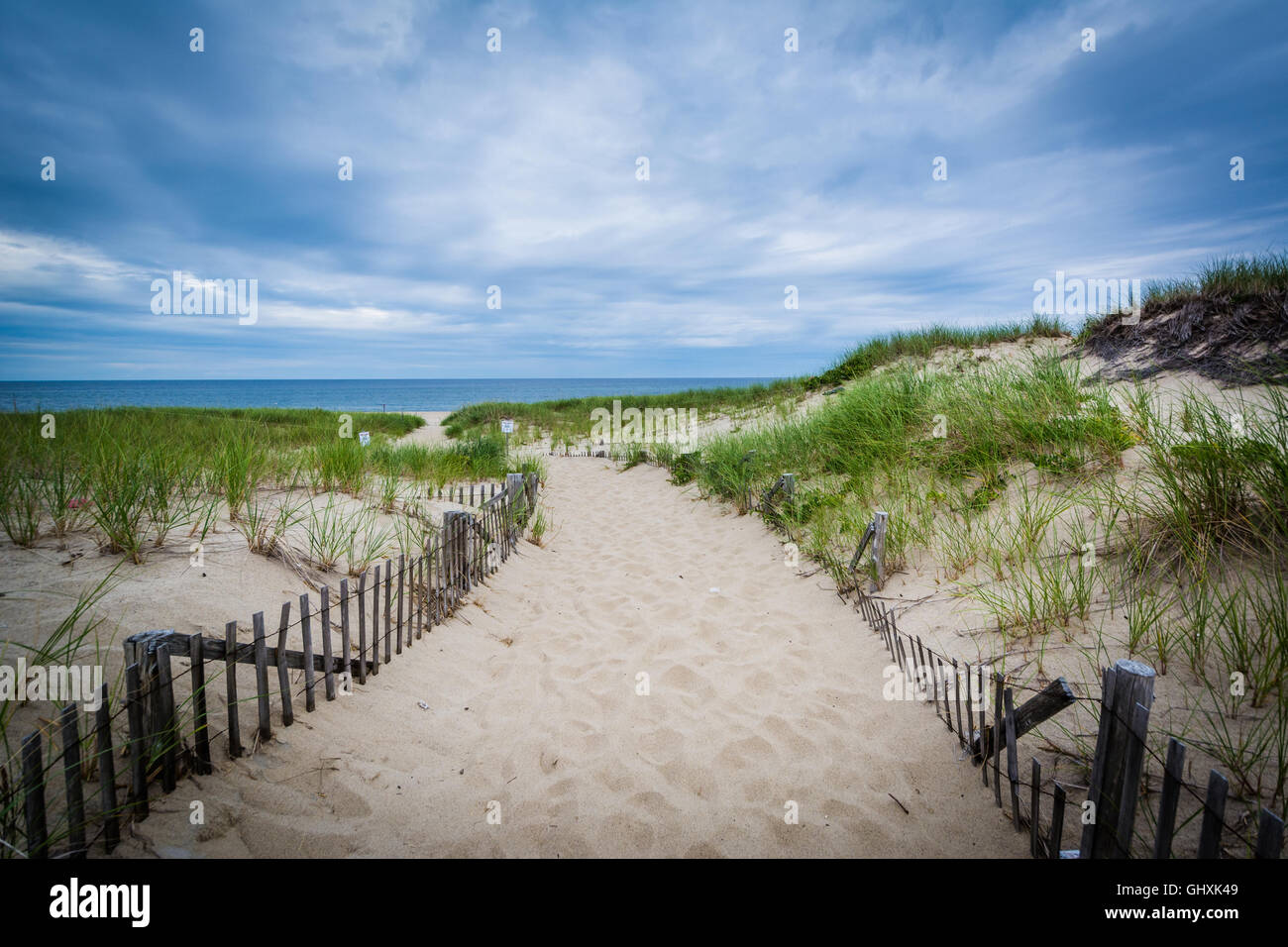 Fence and path through sand dunes at Race Point, in the Province Lands ...