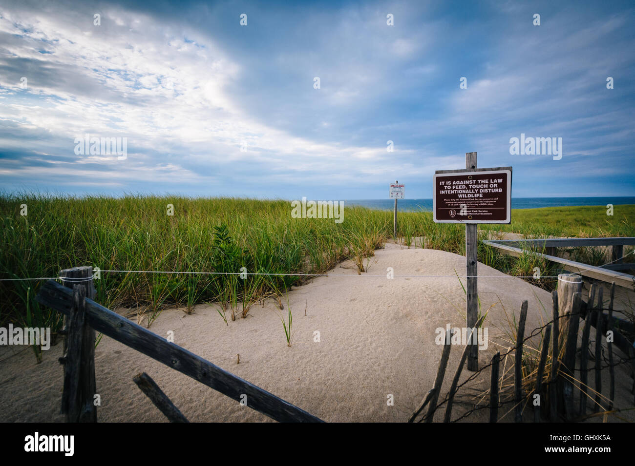 Fence and sand dunes at Race Point, in the Province Lands at Cape Cod ...