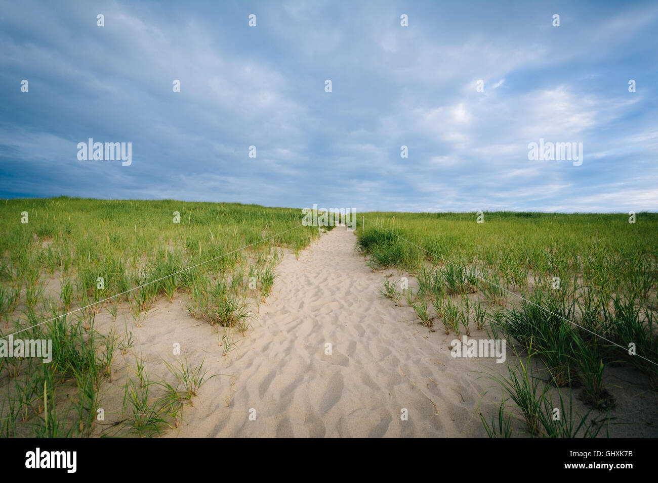 Grasses and path over sand dunes at Race Point, in the Province Lands ...