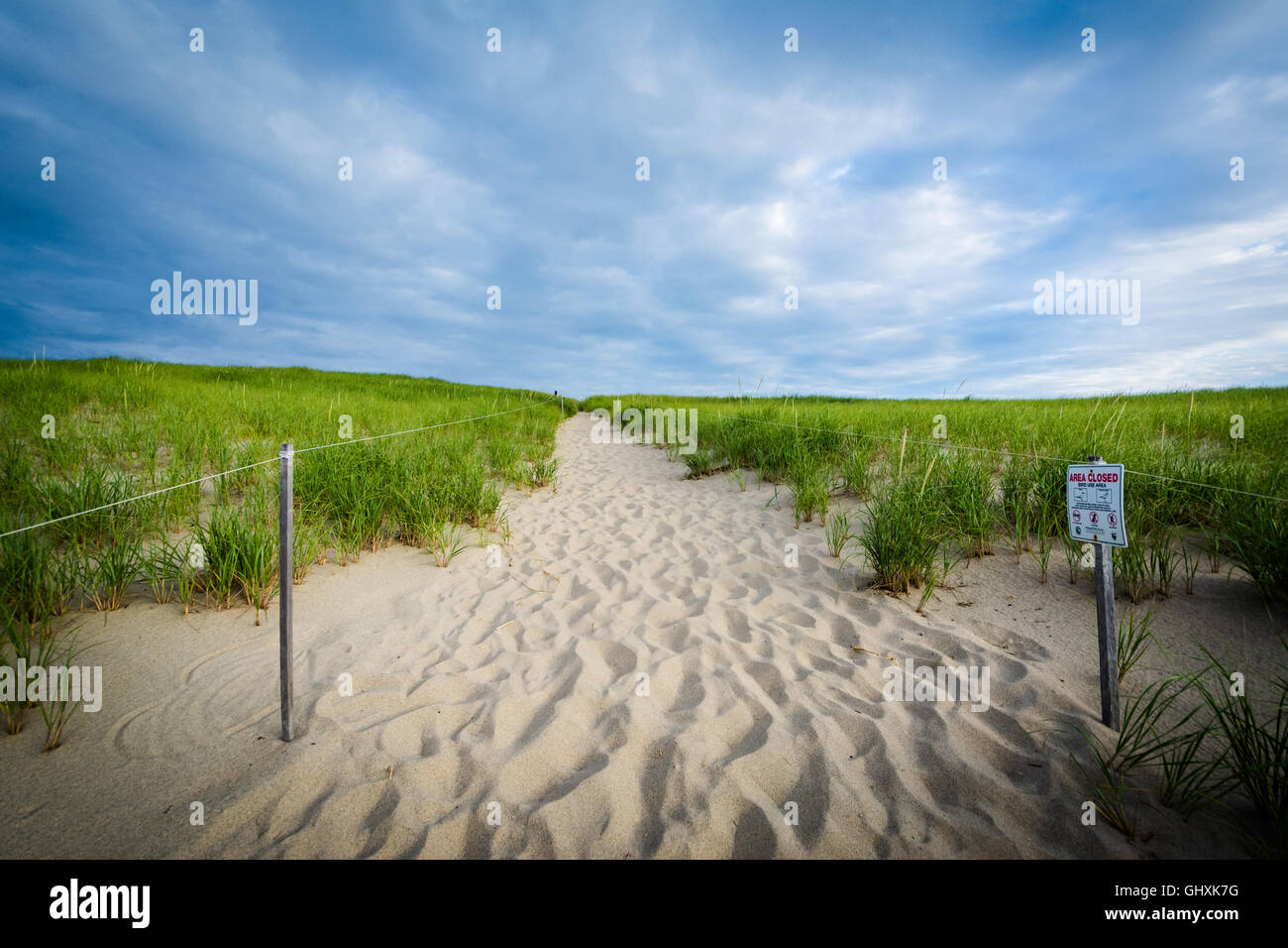 Grasses and path over sand dunes at Race Point, in the Province Lands ...