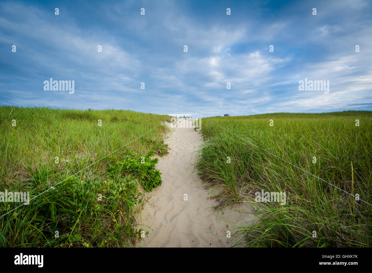 Grasses and path over sand dunes at Race Point, in the Province Lands ...
