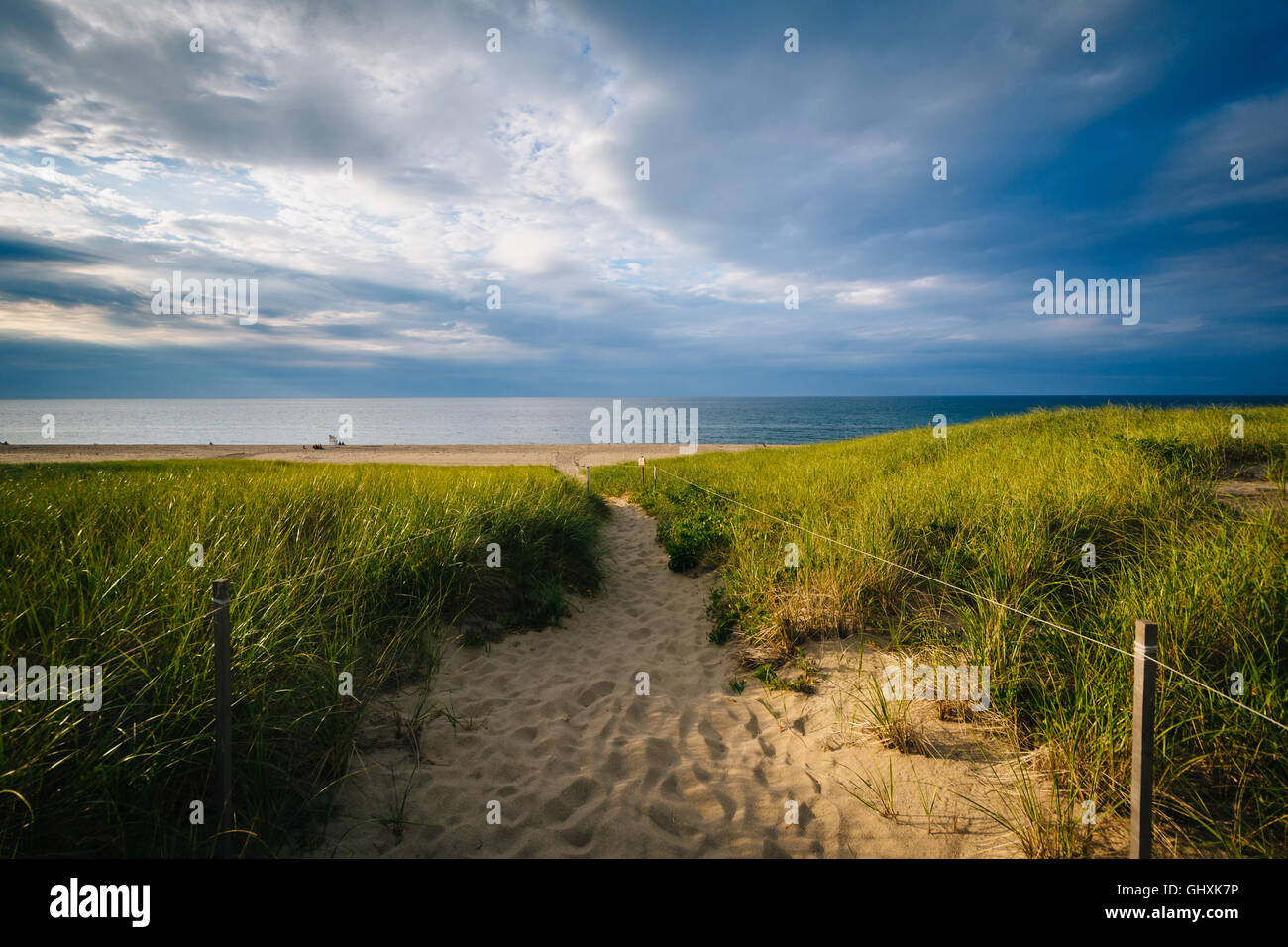 Grasses and path over sand dunes at Race Point, in the Province Lands ...