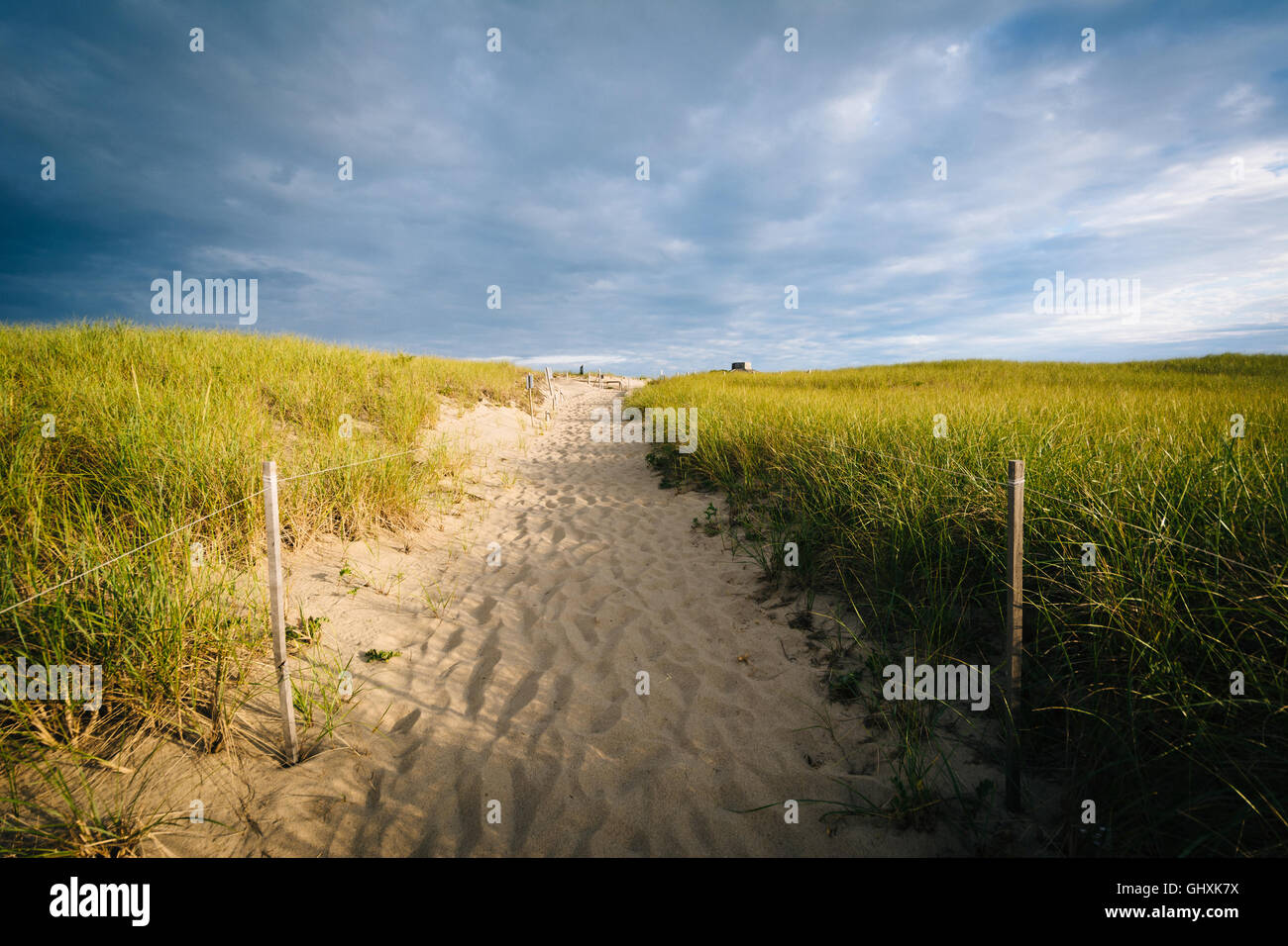 Grasses and path over sand dunes at Race Point, in the Province Lands ...