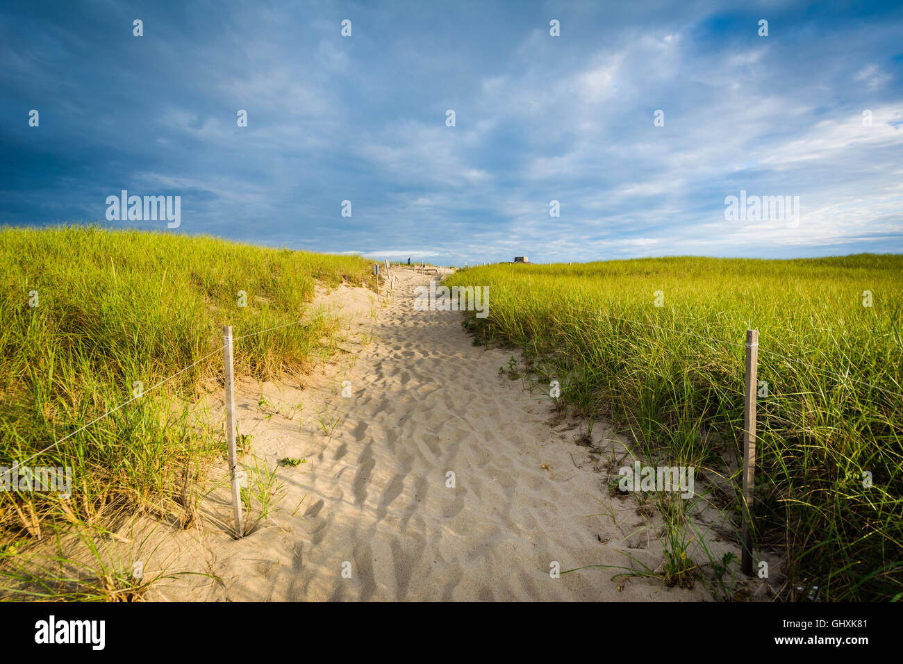 Grasses and path over sand dunes at Race Point, in the Province Lands ...