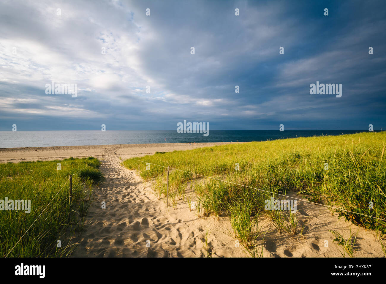 Grasses and path over sand dunes at Race Point, in the Province Lands ...