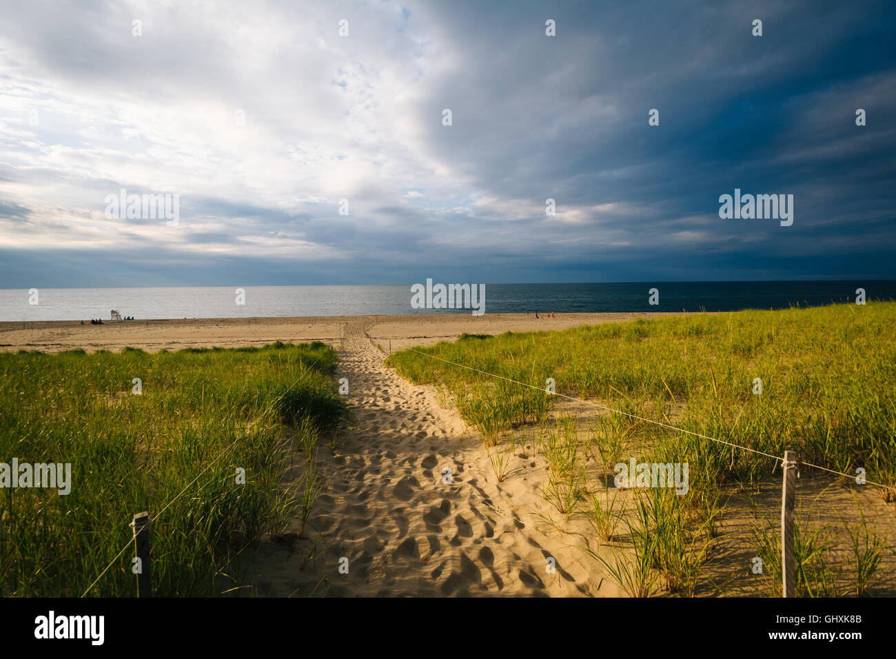Grasses and path over sand dunes at Race Point, in the Province Lands ...