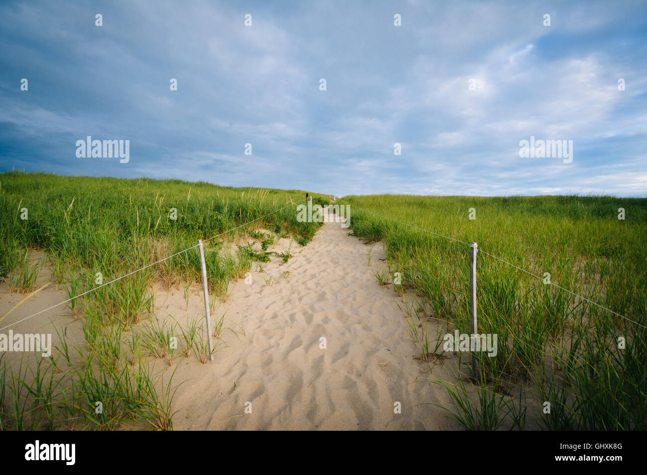 Grasses and path over sand dunes at Race Point, in the Province Lands ...