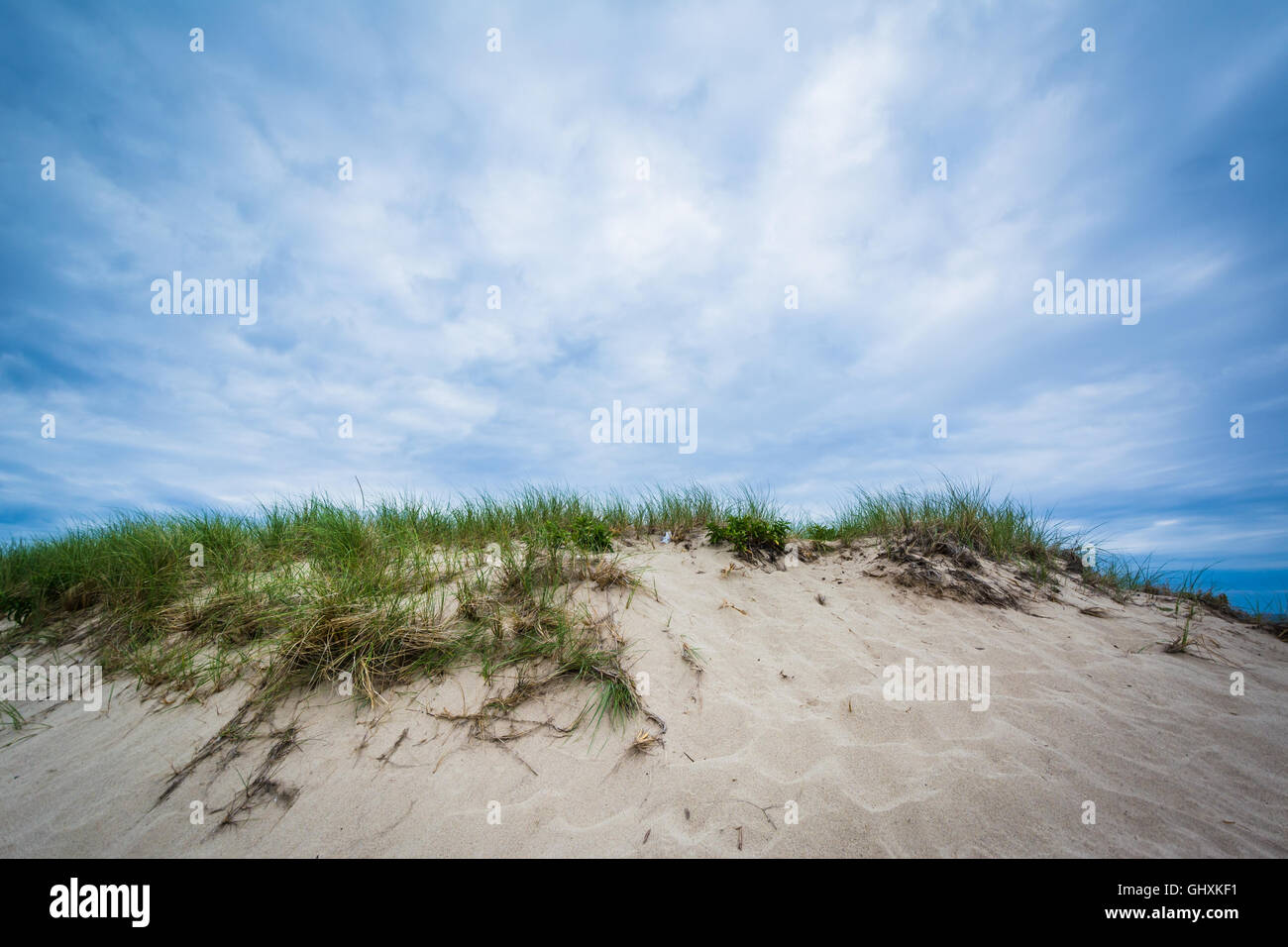 Sand dunes and grasses at Race Point, in the Province Lands at Cape Cod ...