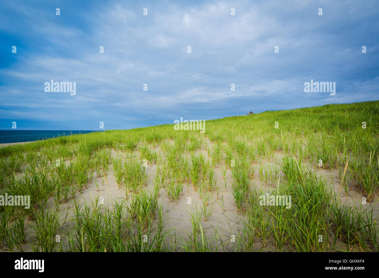 Sand dunes and grasses at Race Point, in the Province Lands at Cape Cod ...