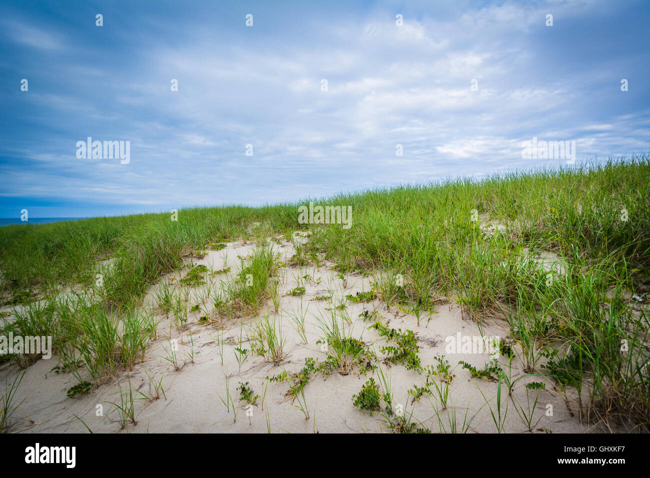 Sand dunes and grasses at Race Point, in the Province Lands at Cape Cod ...