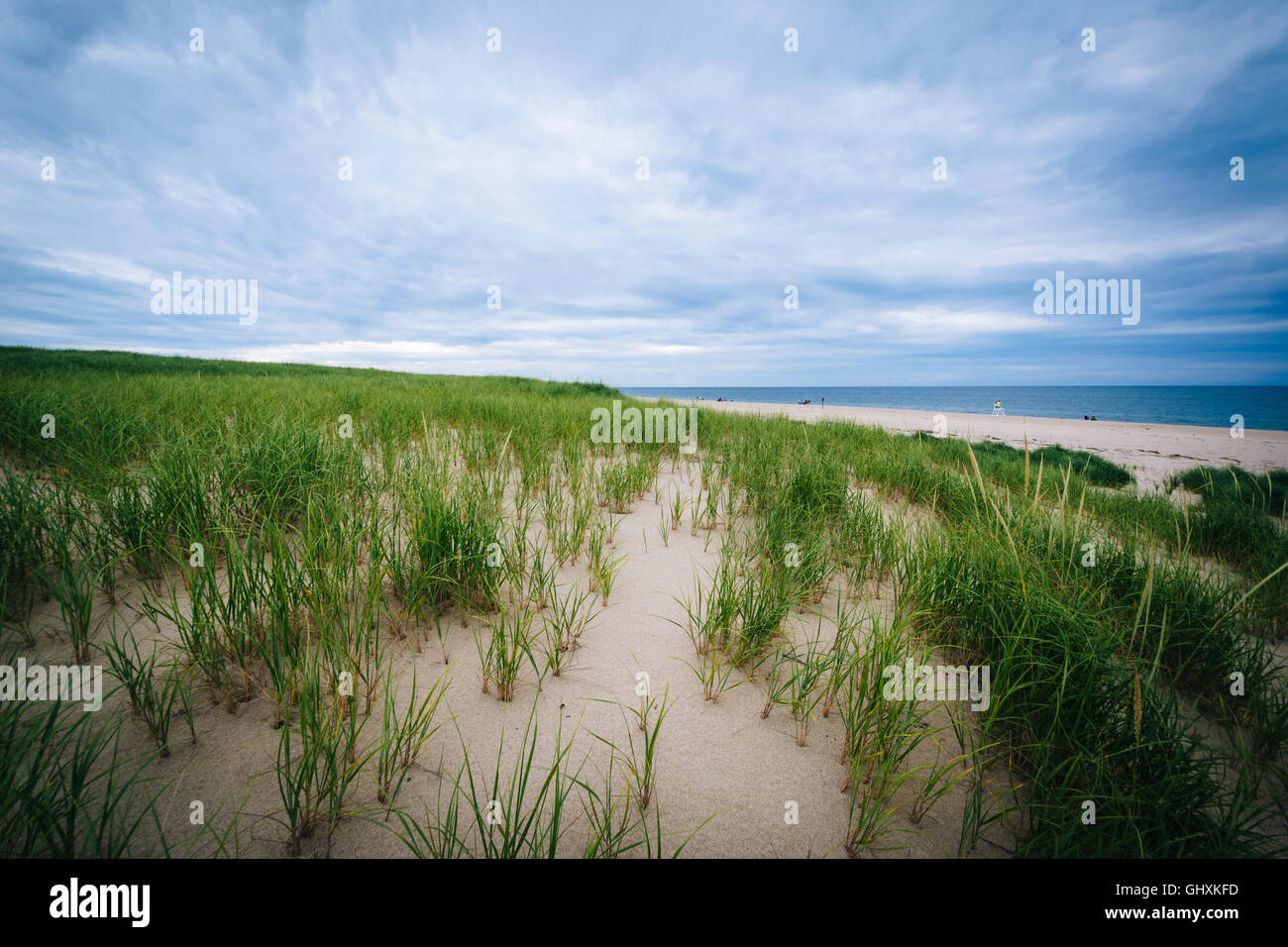 Sand dunes and grasses at Race Point, in the Province Lands at Cape Cod ...
