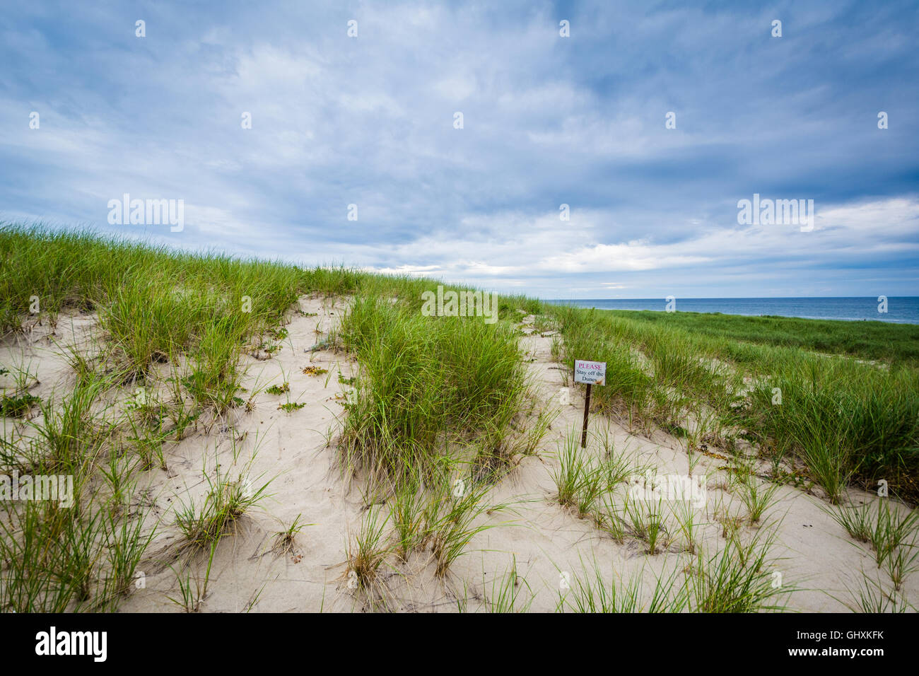 Sand dunes and grasses at Race Point, in the Province Lands at Cape Cod ...