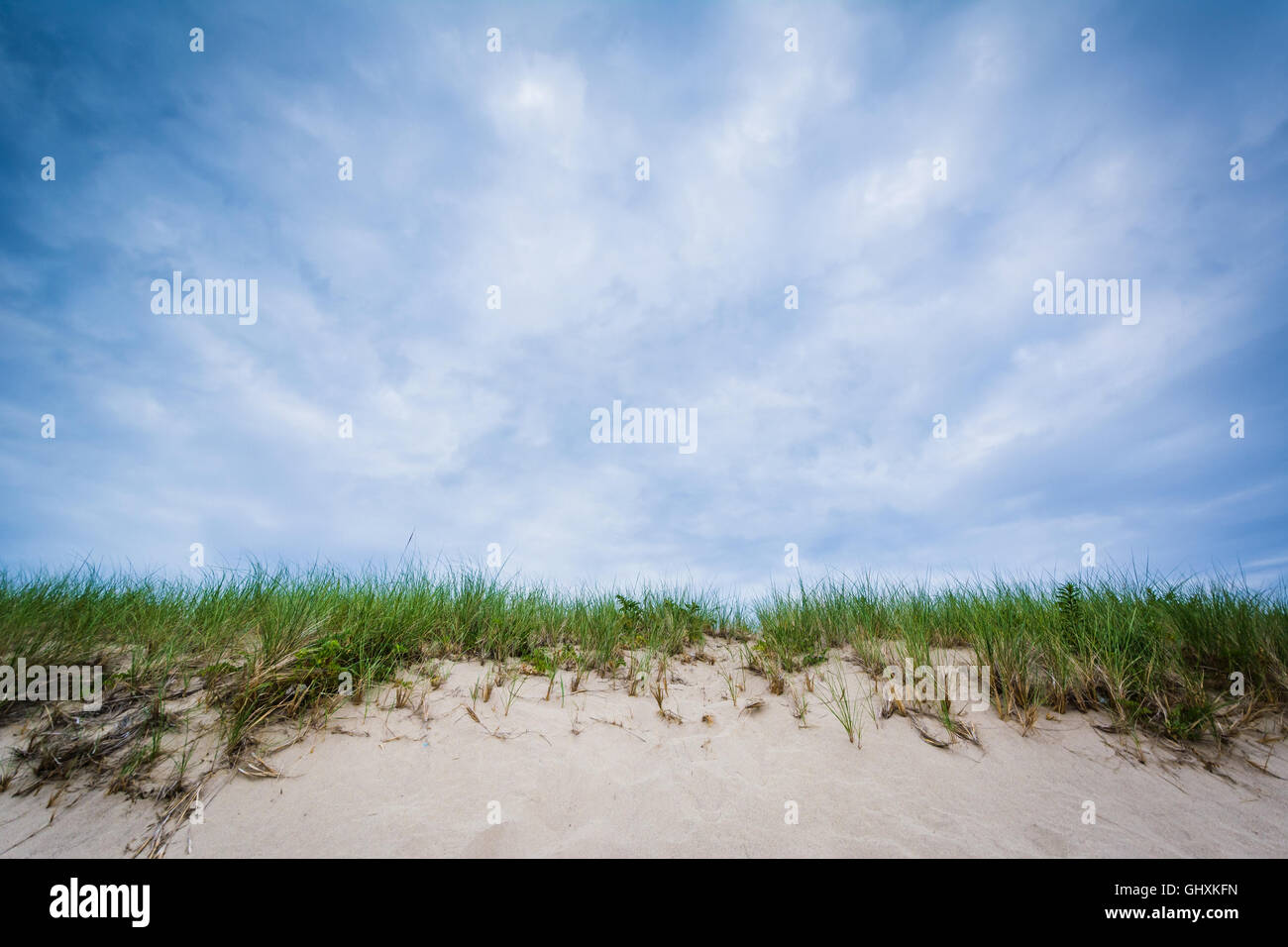 Sand dunes and grasses at Race Point, in the Province Lands at Cape Cod ...