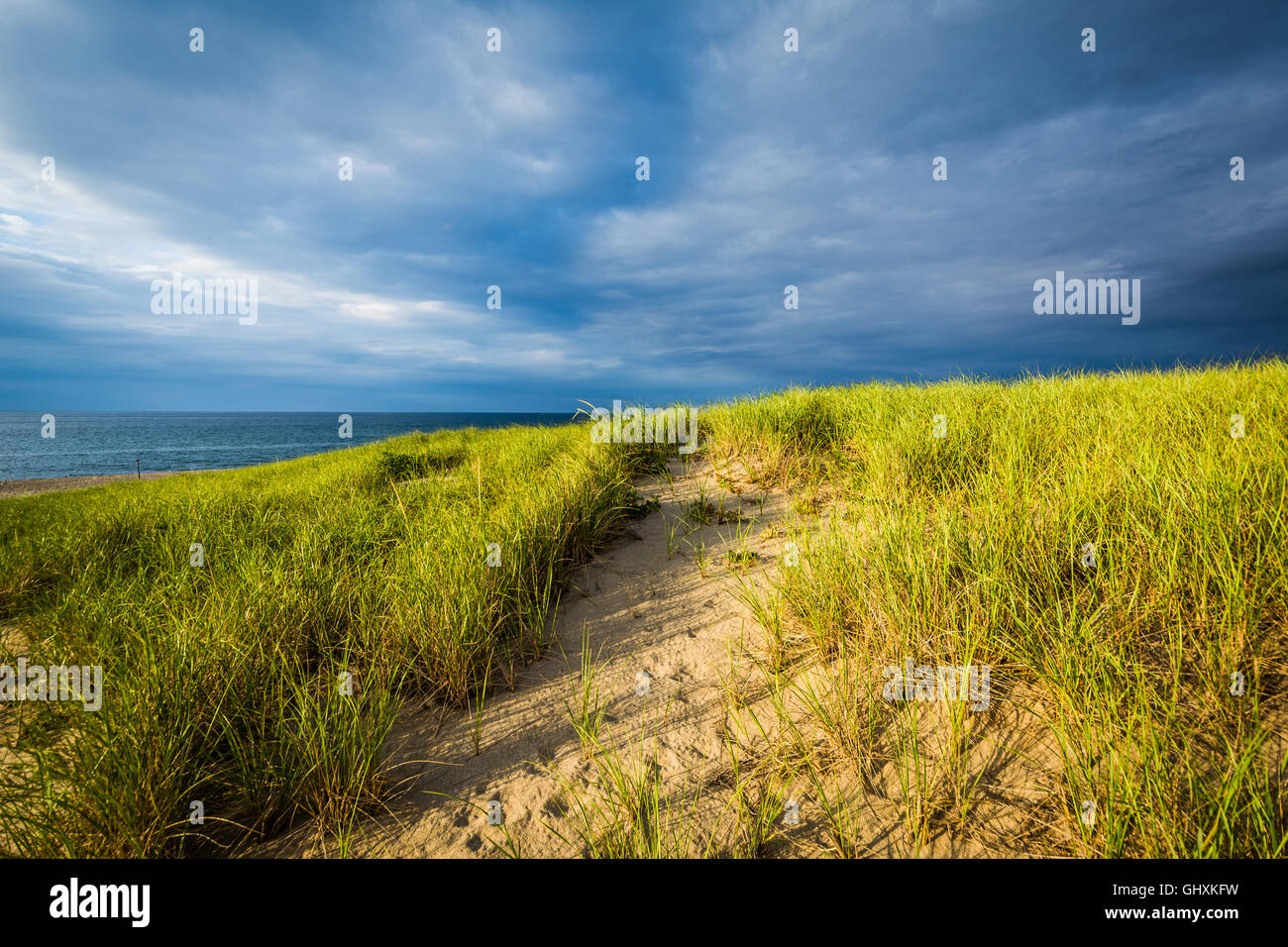 Sand dunes and grasses at Race Point, in the Province Lands at Cape Cod ...