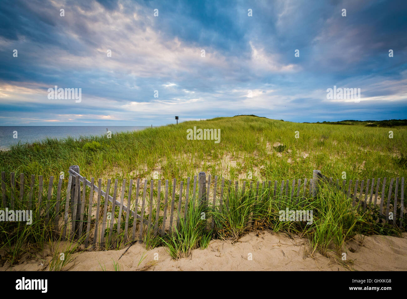 Sand dunes and grasses at sunset, in the Province Lands at Cape Cod ...