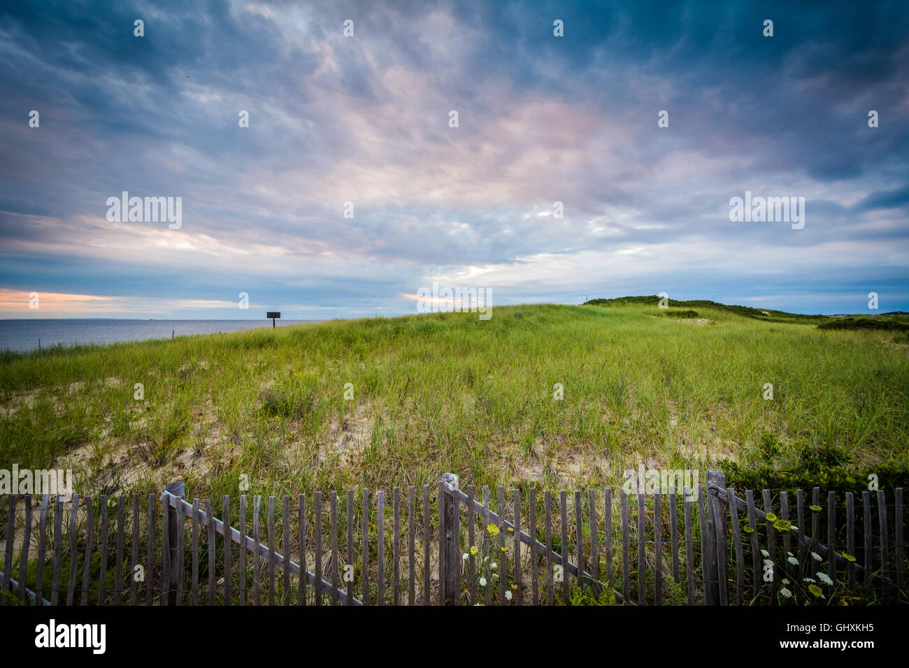 Sand dunes and grasses at sunset, in the Province Lands at Cape Cod ...