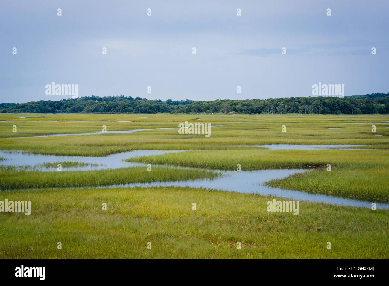Small stream in a wetland seen from the Sandwich Boardwalk, in Sandwich ...