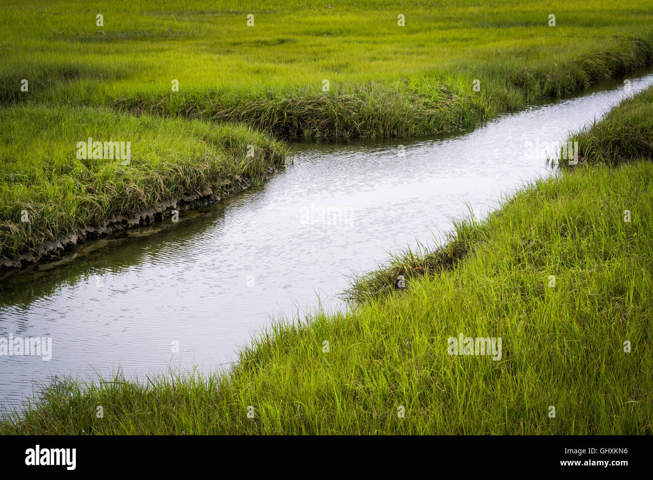 Small stream in a wetland seen from the Sandwich Boardwalk, in Sandwich ...