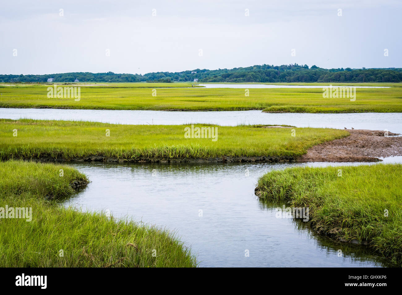 Small stream in a wetland seen from the Sandwich Boardwalk, in Sandwich ...