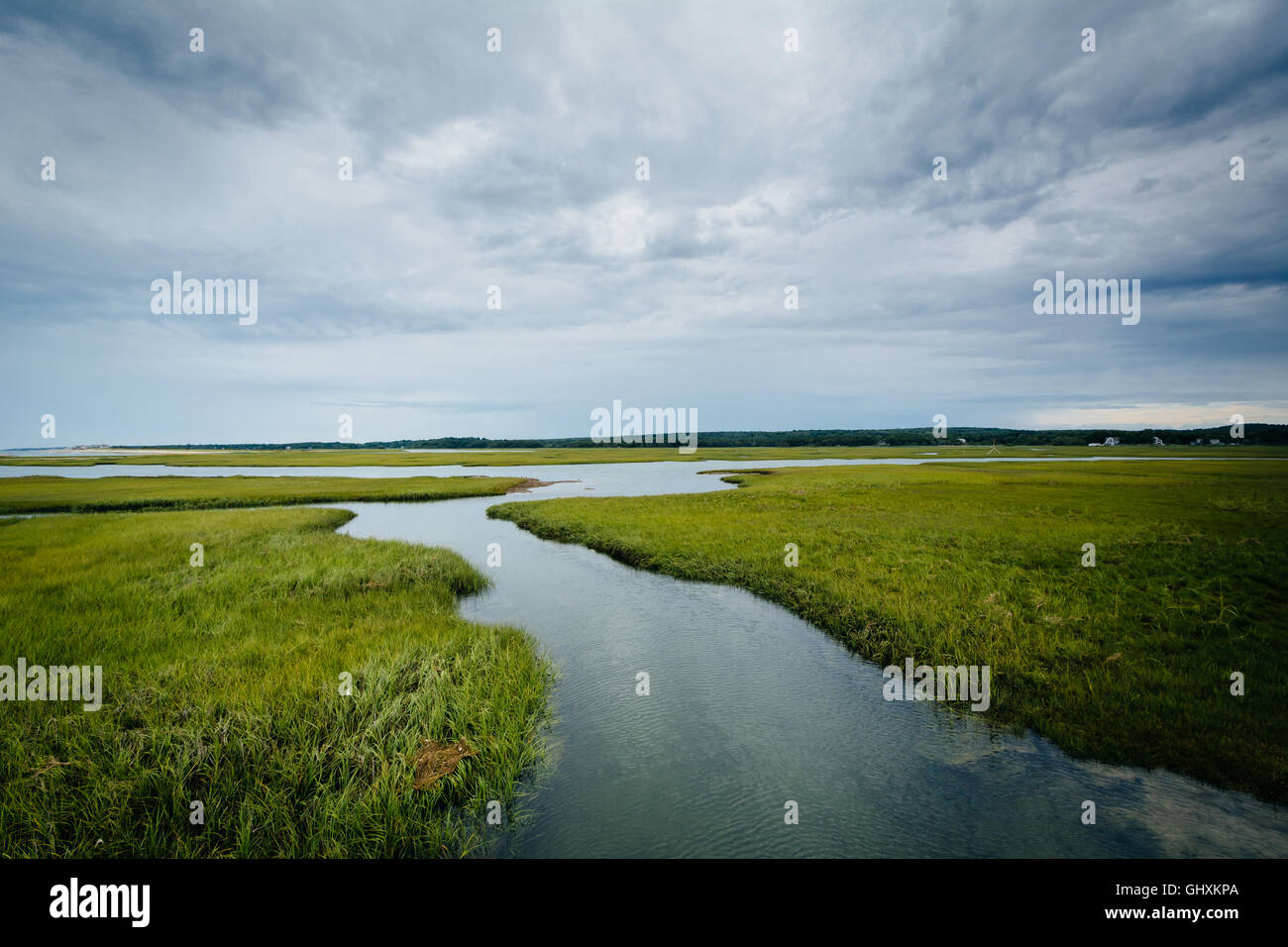 Small stream in a wetland seen from the Sandwich Boardwalk, in Sandwich ...