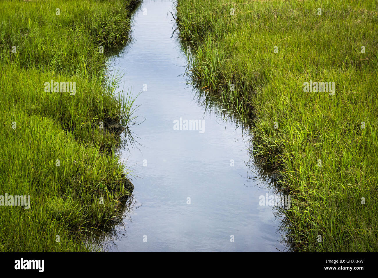 Small stream in a wetland seen from the Sandwich Boardwalk, in Sandwich ...