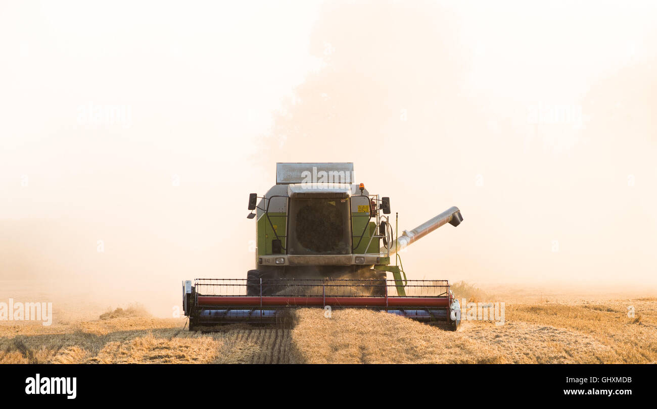 Harvesting at sunset hi-res stock photography and images - Alamy