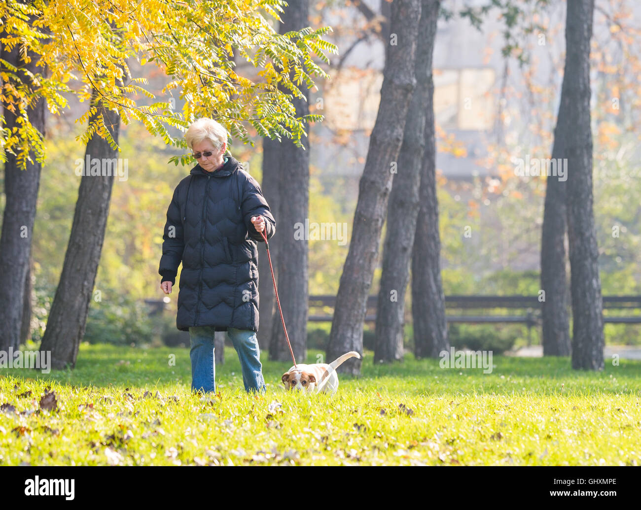 Old woman walking dog hi-res stock photography and images - Alamy