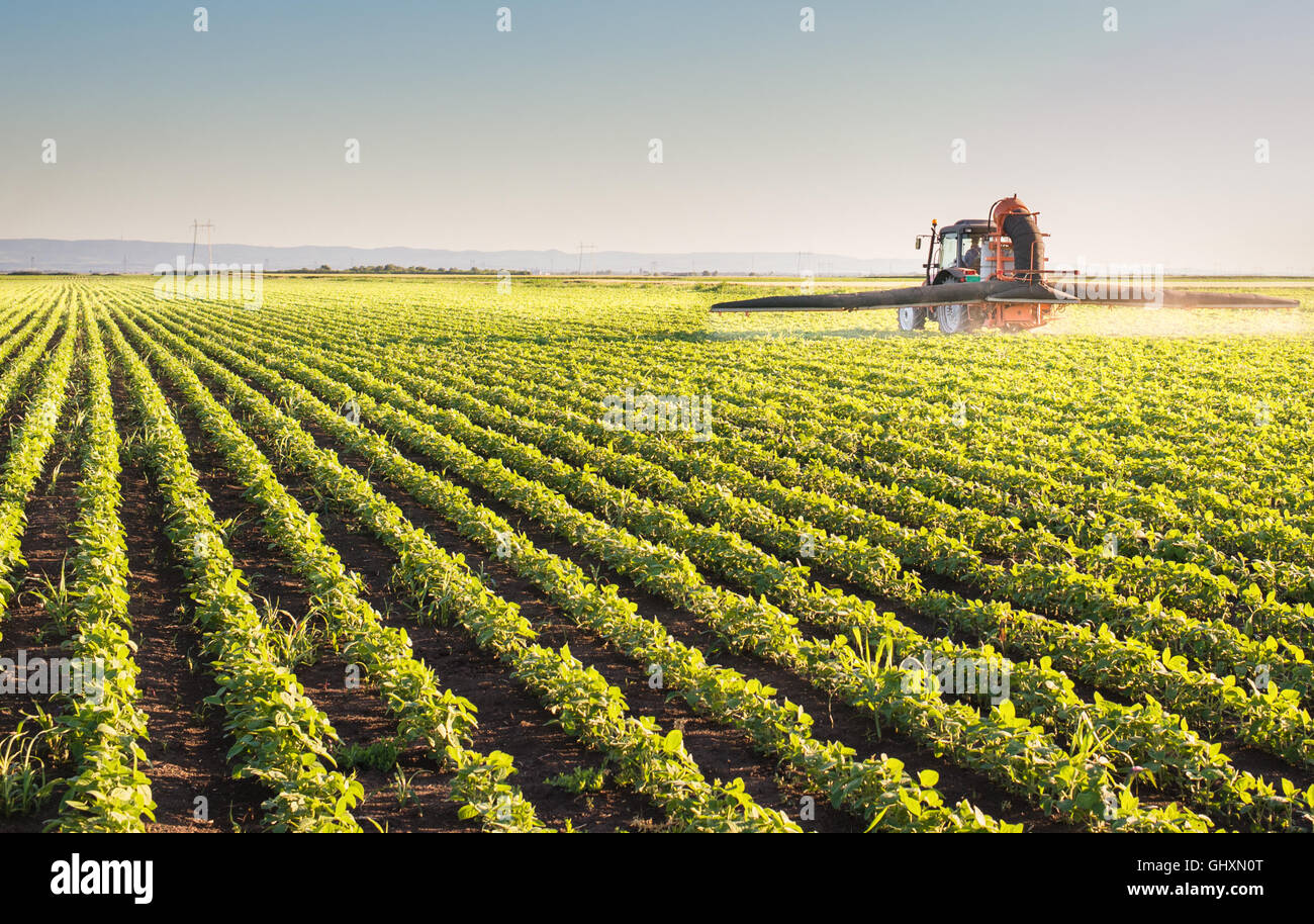 Tractor spraying pesticides on soybean Stock Photo - Alamy