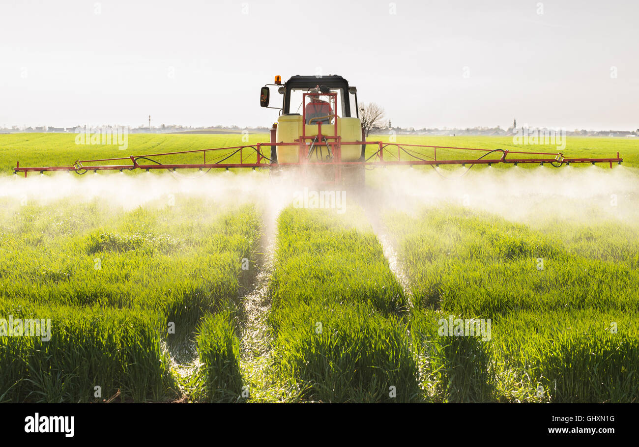 Tractor spraying wheat field with sprayer Stock Photo - Alamy