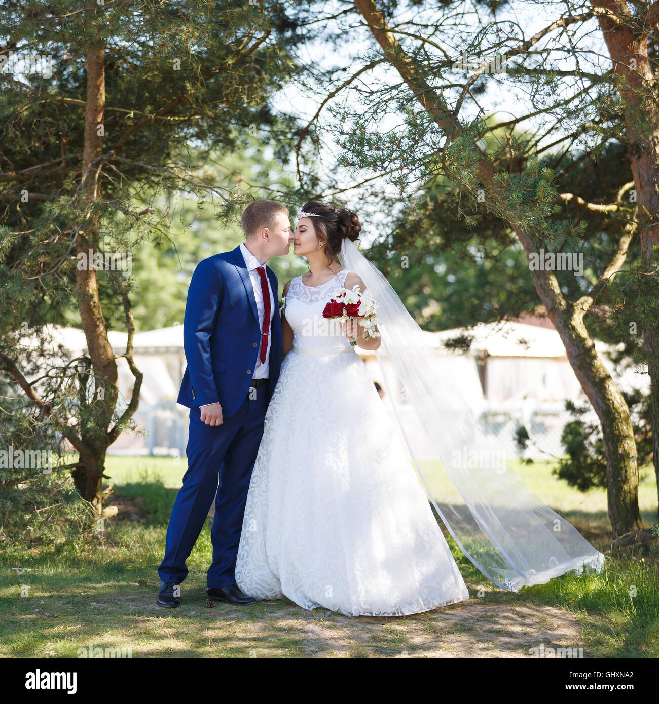 Bride groom walking in pine hi-res stock photography and images - Alamy