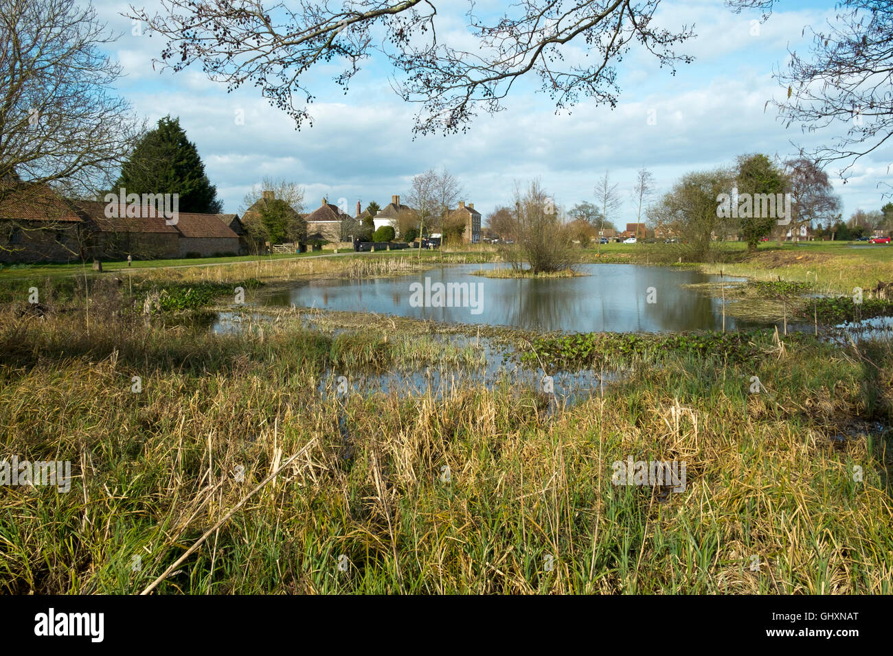 Village ponds hi-res stock photography and images - Alamy