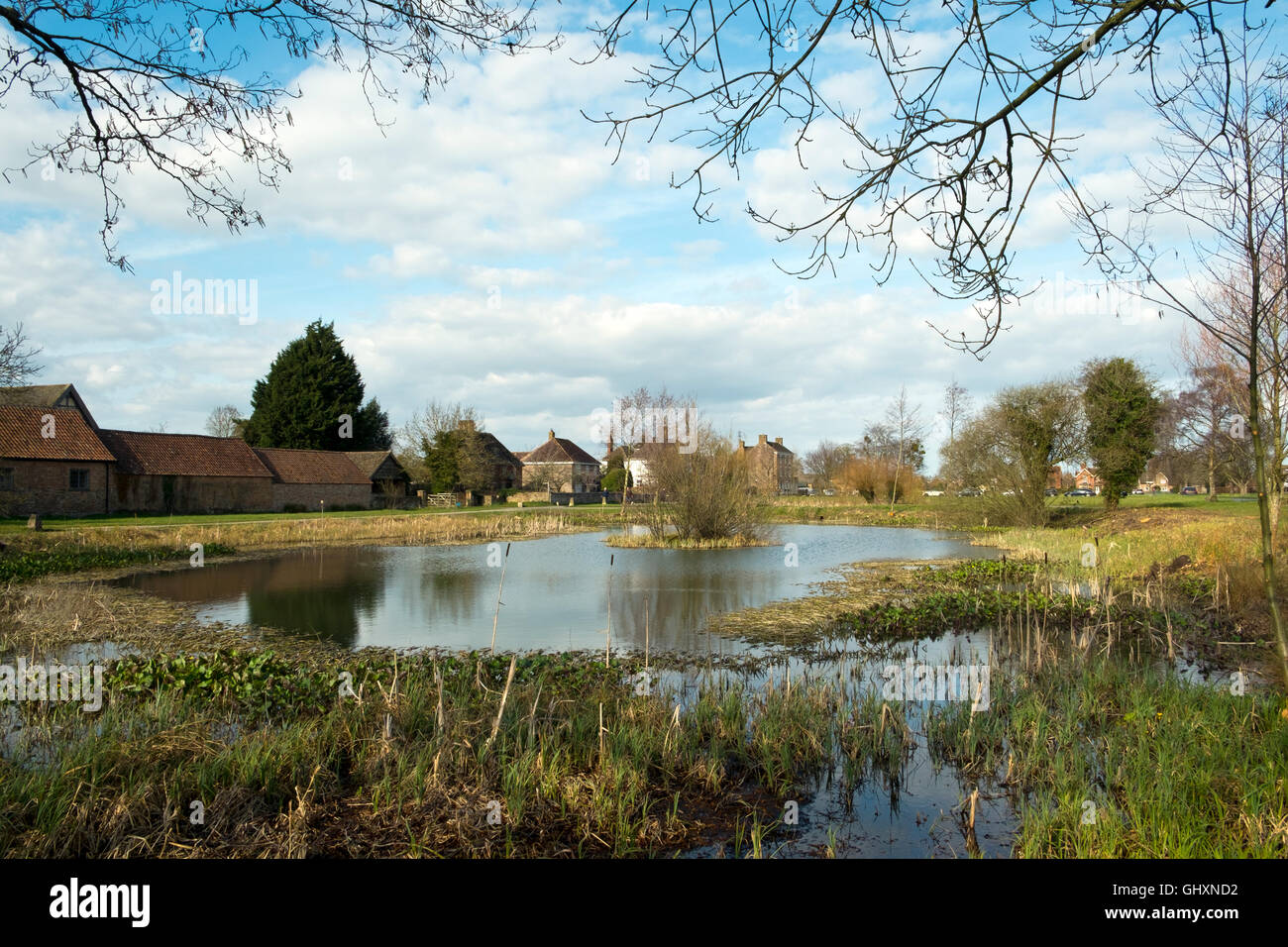 Ponds on the village green in spring sunshine at Frampton on Severn ...