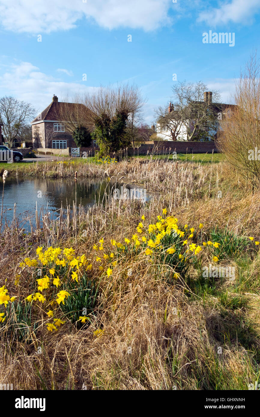 Ponds on the village green in spring sunshine at Frampton on Severn ...