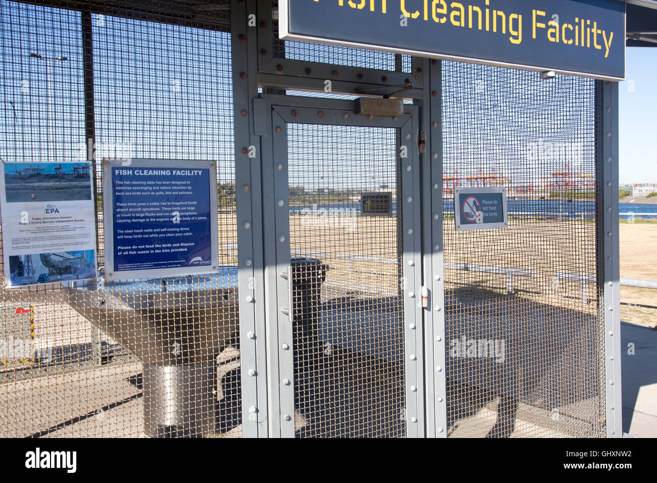 Fish cleaning hi-res stock photography and images - Alamy