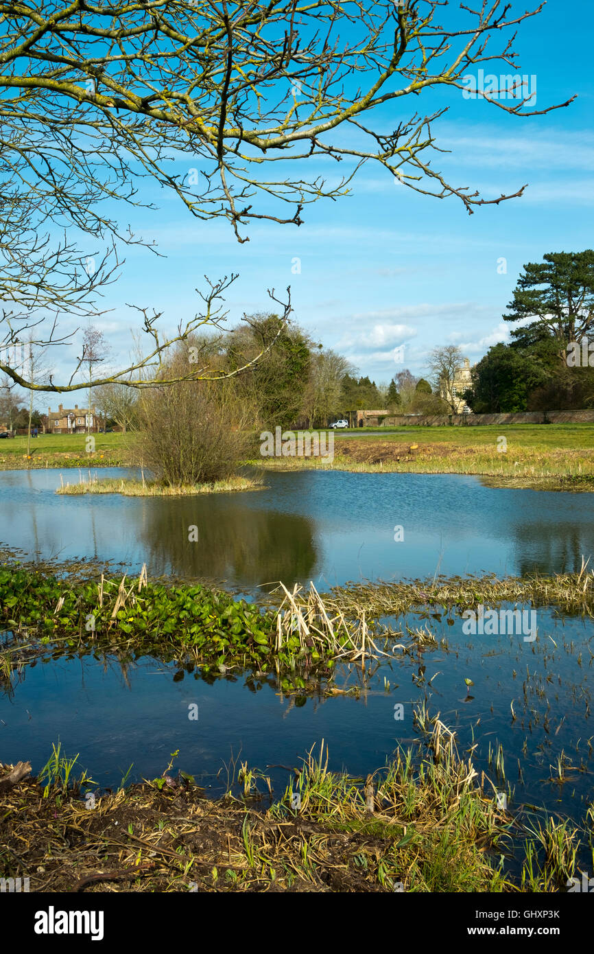 Village ponds uk hi-res stock photography and images - Alamy
