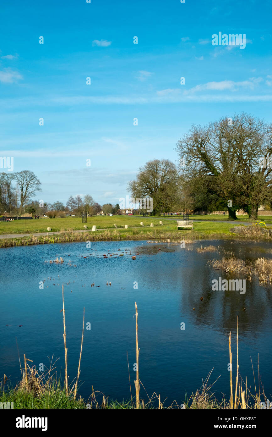 English village pond hi-res stock photography and images - Alamy