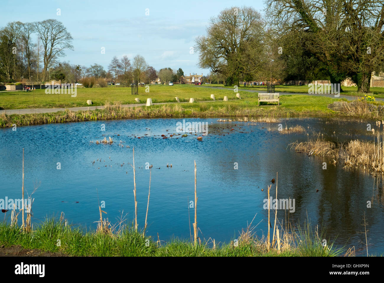Ponds on the village green in spring sunshine at Frampton on Severn ...